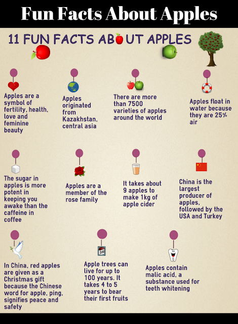 Fun Facts About Apples | My Crazy Email
