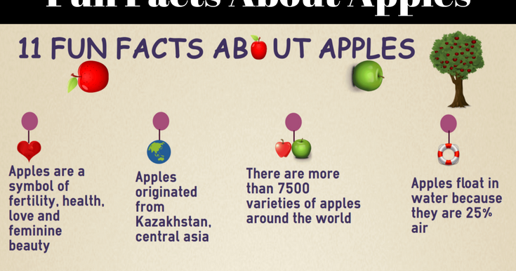 Fun Facts About Apples | My Crazy Email