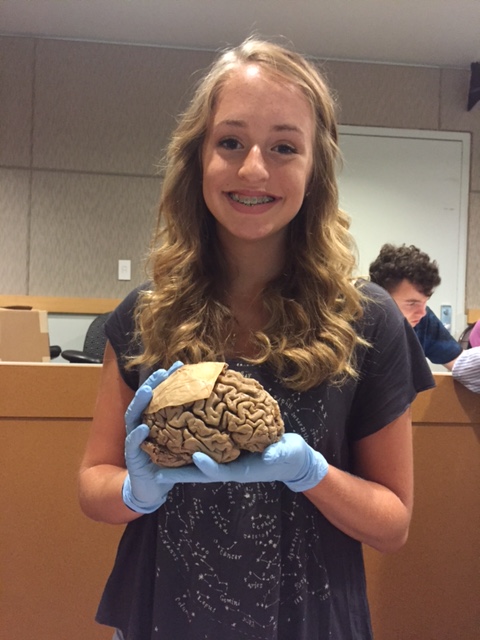 Daily "PAW"sitive Action Community Vlogcast: Talk It Out Tuesday - Mr ...