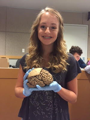 Daily "PAW"sitive Action Community Vlogcast: Talk It Out Tuesday - Mr ...