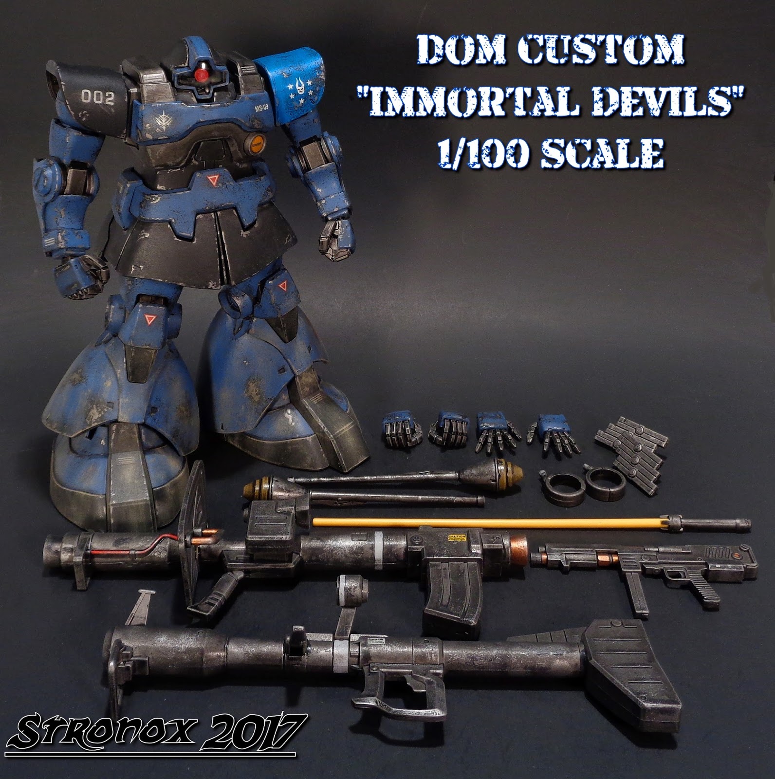 Stronox Custom Figures: Gunpla MG: Dom Custom