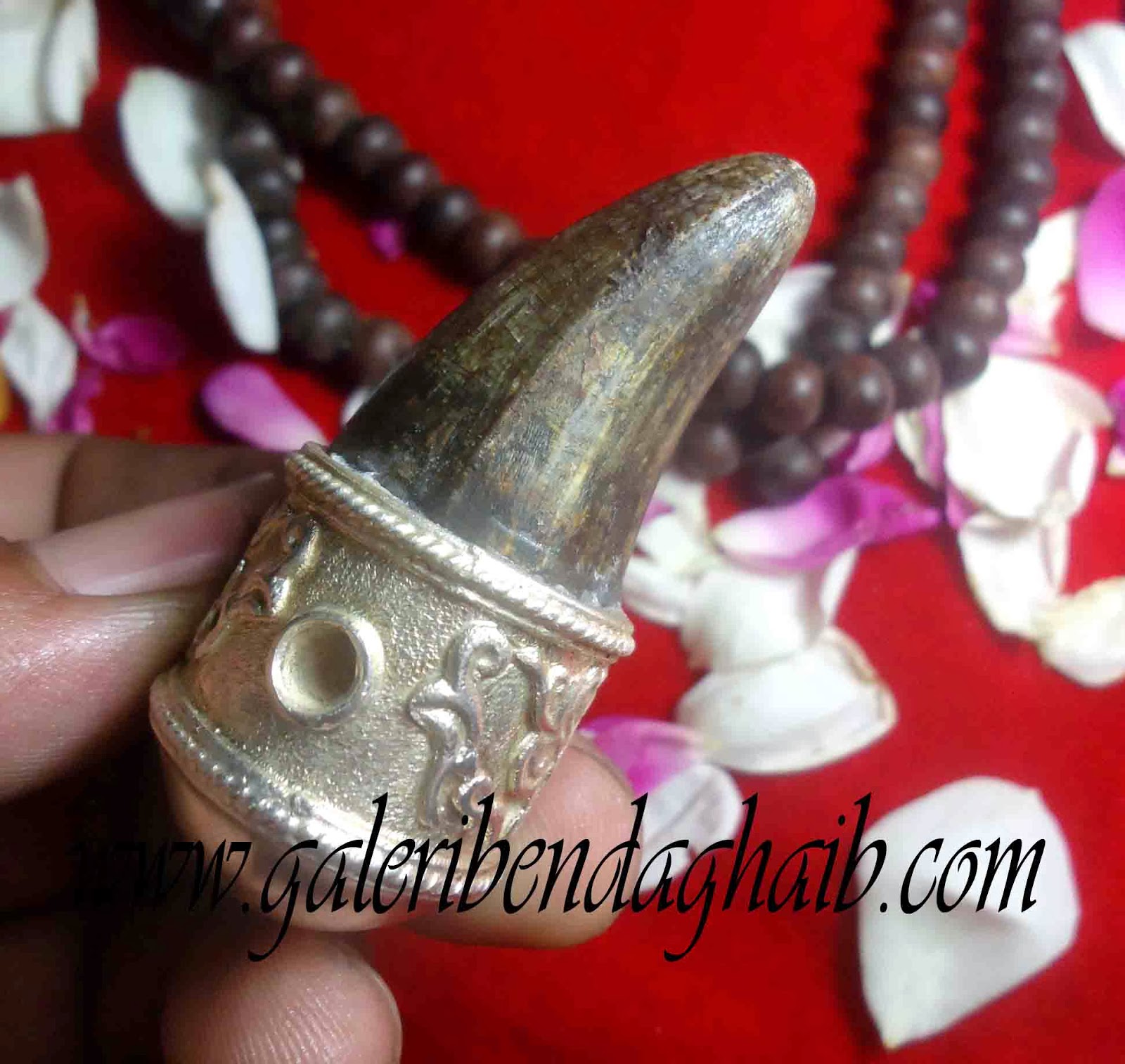 BATU MUSTIKA NAGA SAKTI ASLI: Pusaka Fosil Taring Macan Purba Asli