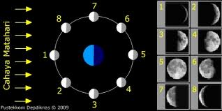 Red Butterfly: BULAN