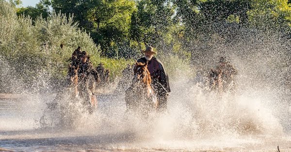TV-Recaps-Reviews: REVIEW: 'Godless' - An Injured Roy Goode Rides Onto ...