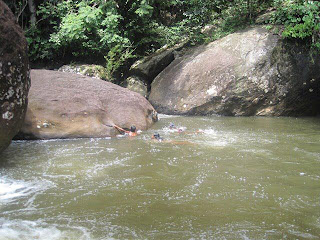 Flights and Everything Guyana: Moco moco falls Guyana