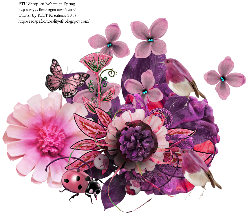 Escape From Reality Blog: FTU 'Bohemian Spring' Cluster & Cluster Frames