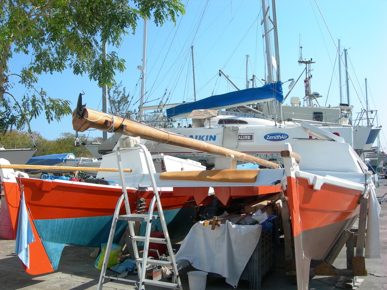 Tiki26-Georges: le mâtage