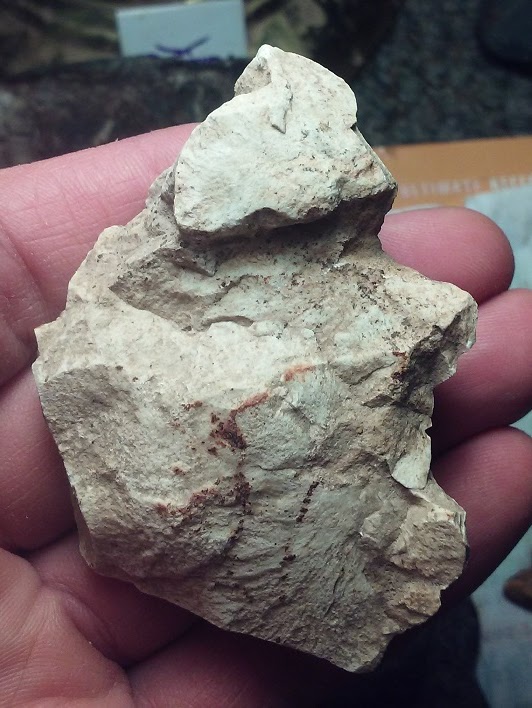 Archaeology of Portable Rock Art: A pebble with four faces and other ...