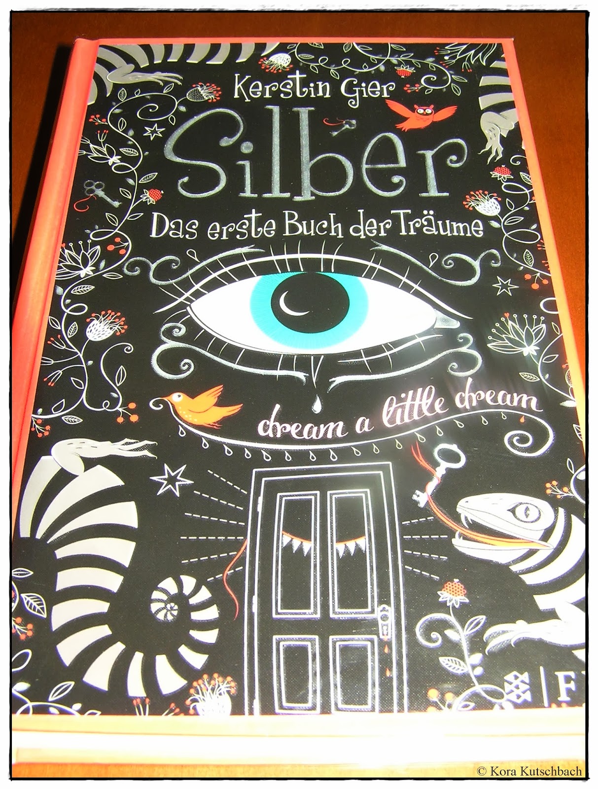 Creativity First: [Rezension] Silber — Das erste Buch der Träume ...