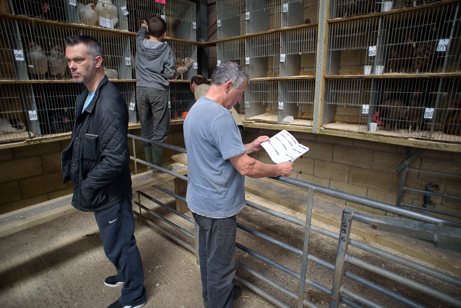 Clitheroe Horse Auction Catalogue - Catalog Library