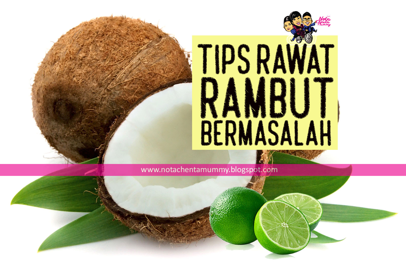 Tips Merawat Rambut Rosak dengan Cara Paling Murah dan Berkesan - Julia Ali