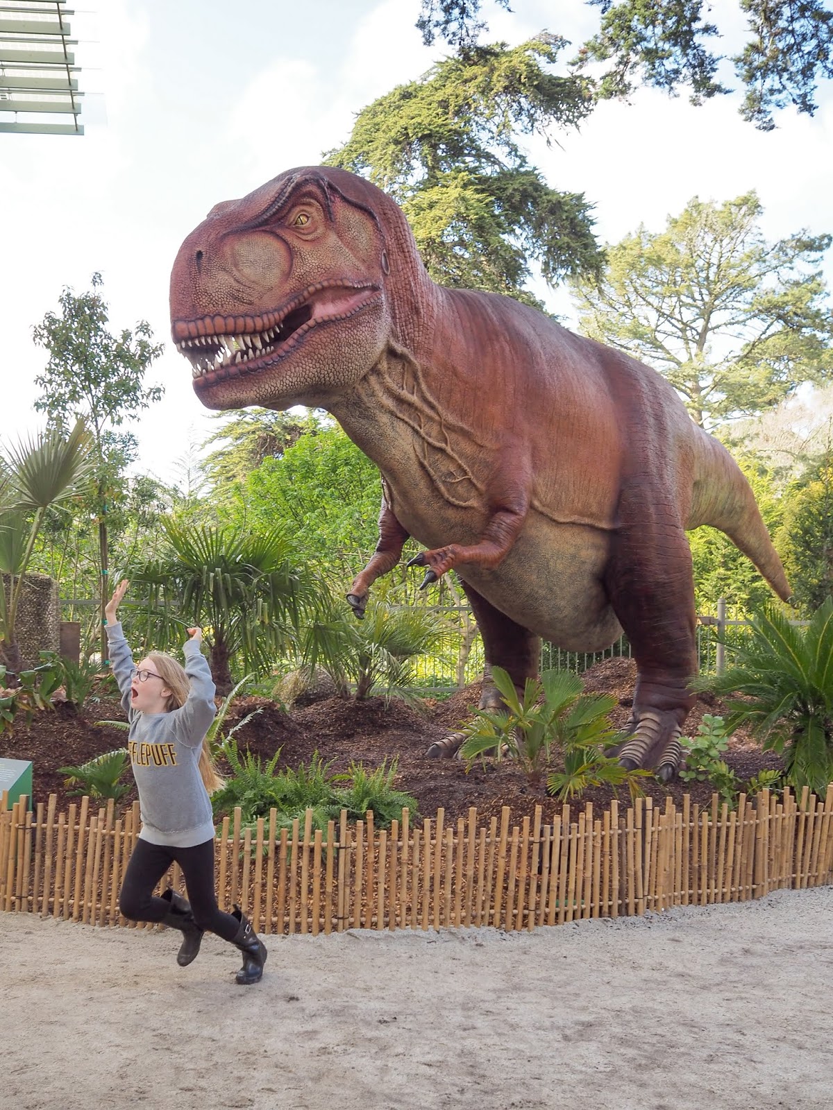 Little Hiccups: Dino Days at California Academy of Sciences