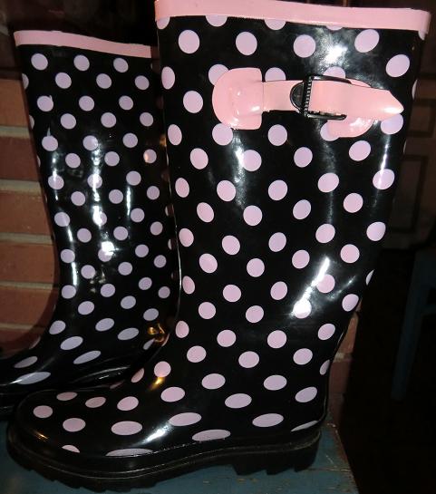 Fuzzy Shoe: A lovely new pair of wellies!