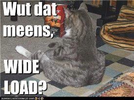 Cats Rule: What Dat Meens, Wide Load?