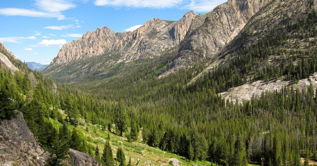 The Fighting Shy: The Sawtooth Tour