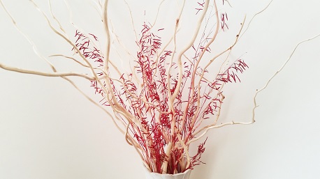 Anikó Dóbiász: Willow peeling