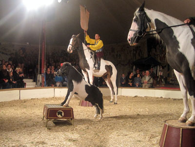 butterscotchartgirl: I'm running off to join the circus..