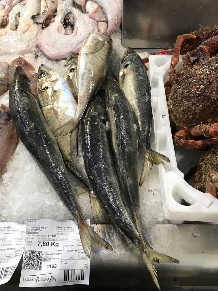 PESCA Y GASTRONOMÍA: ¿CHICHARRO BLANCO O CHICHARRO NEGRO?