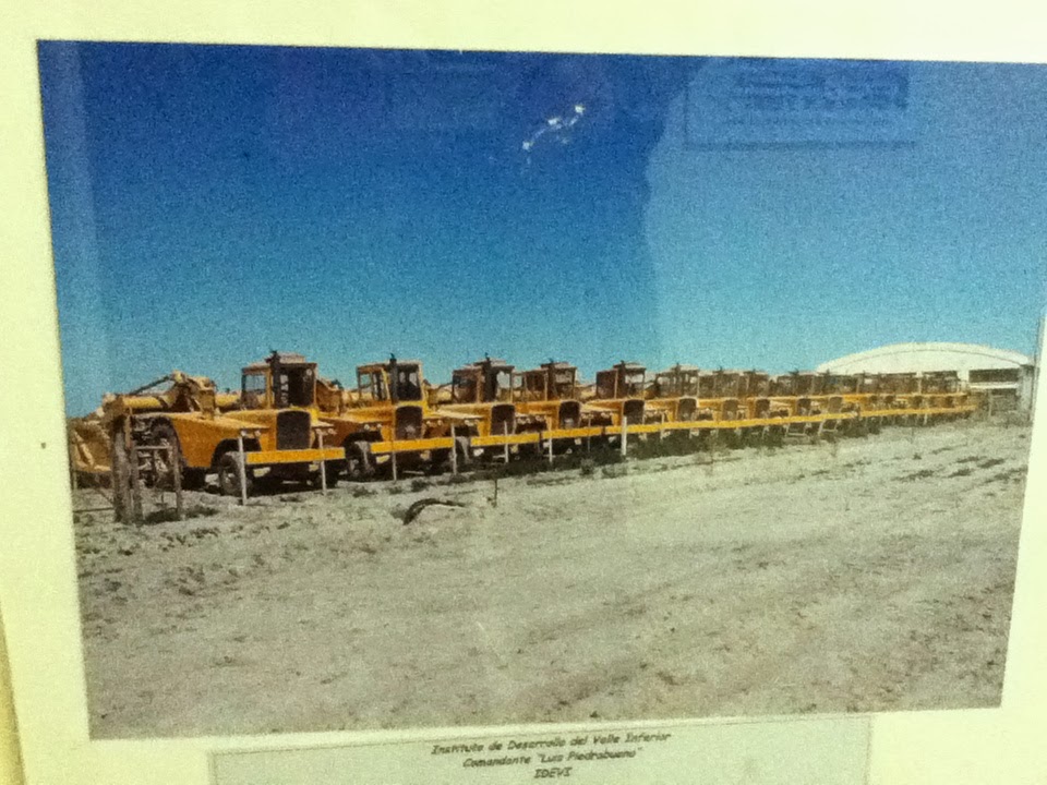 Argentine Foster Family Story