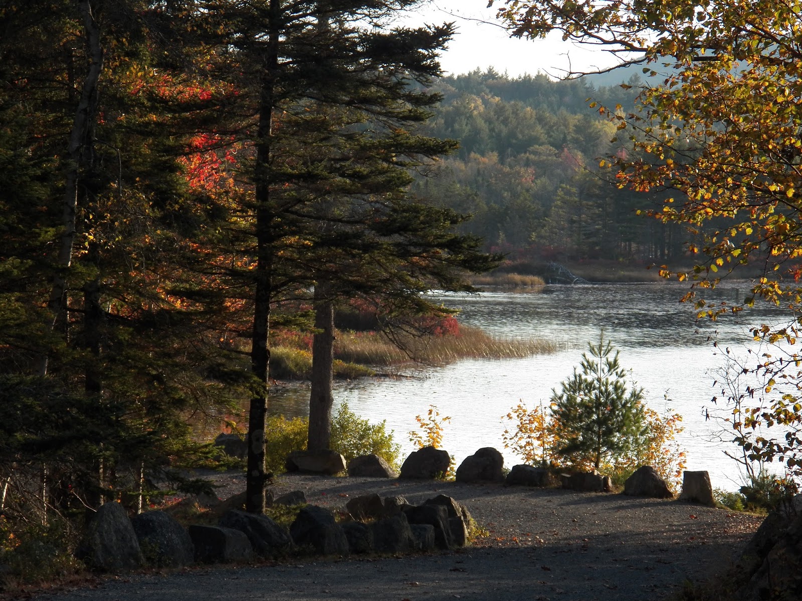 ABANDONED TRAILS OF ACADIA NATIONAL PARK: ABANDONED WITCH HOLE POND ...