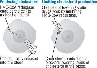 STATIN-CHOLESTROL LOWERING DRUG...