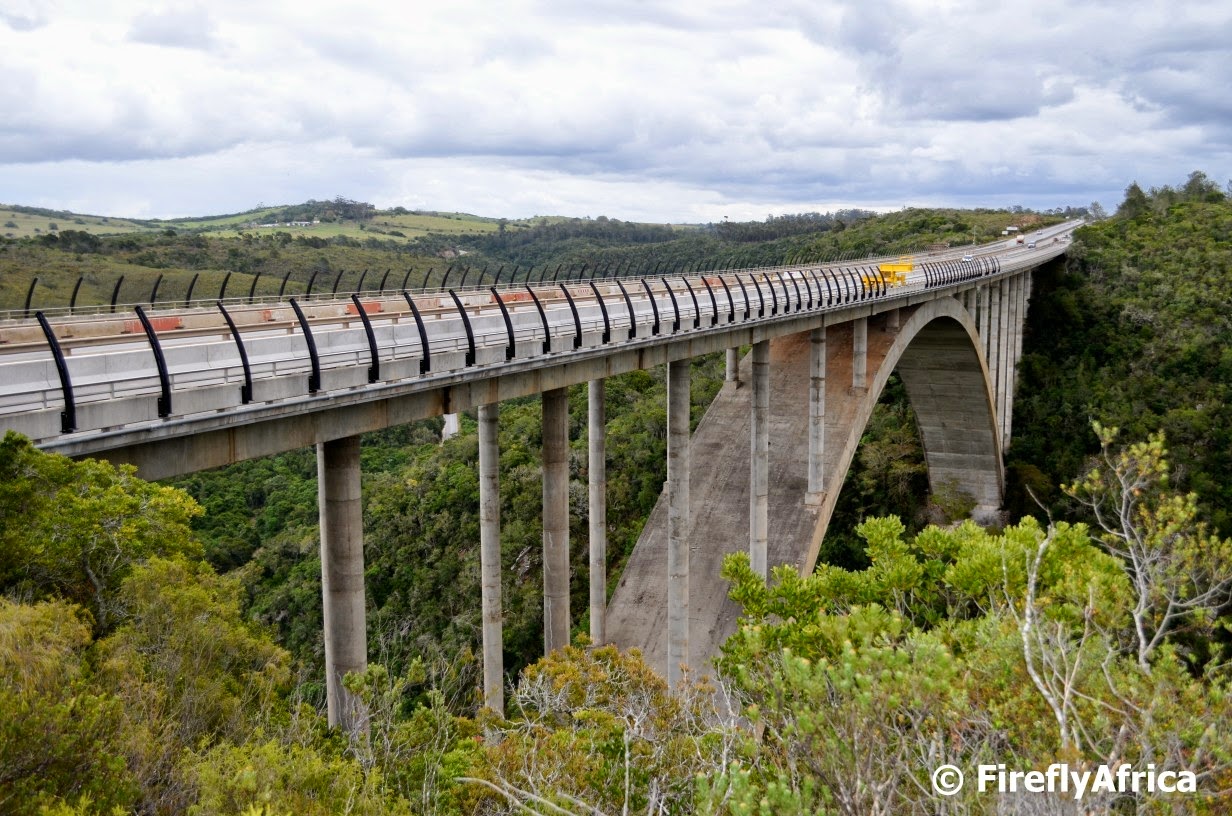 Port Elizabeth Daily Photo: Van Stadens Bridge barriers