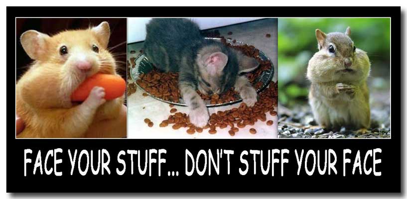 Loretta's Journey : NOV 30th Finding The Courage To Face My Stuff