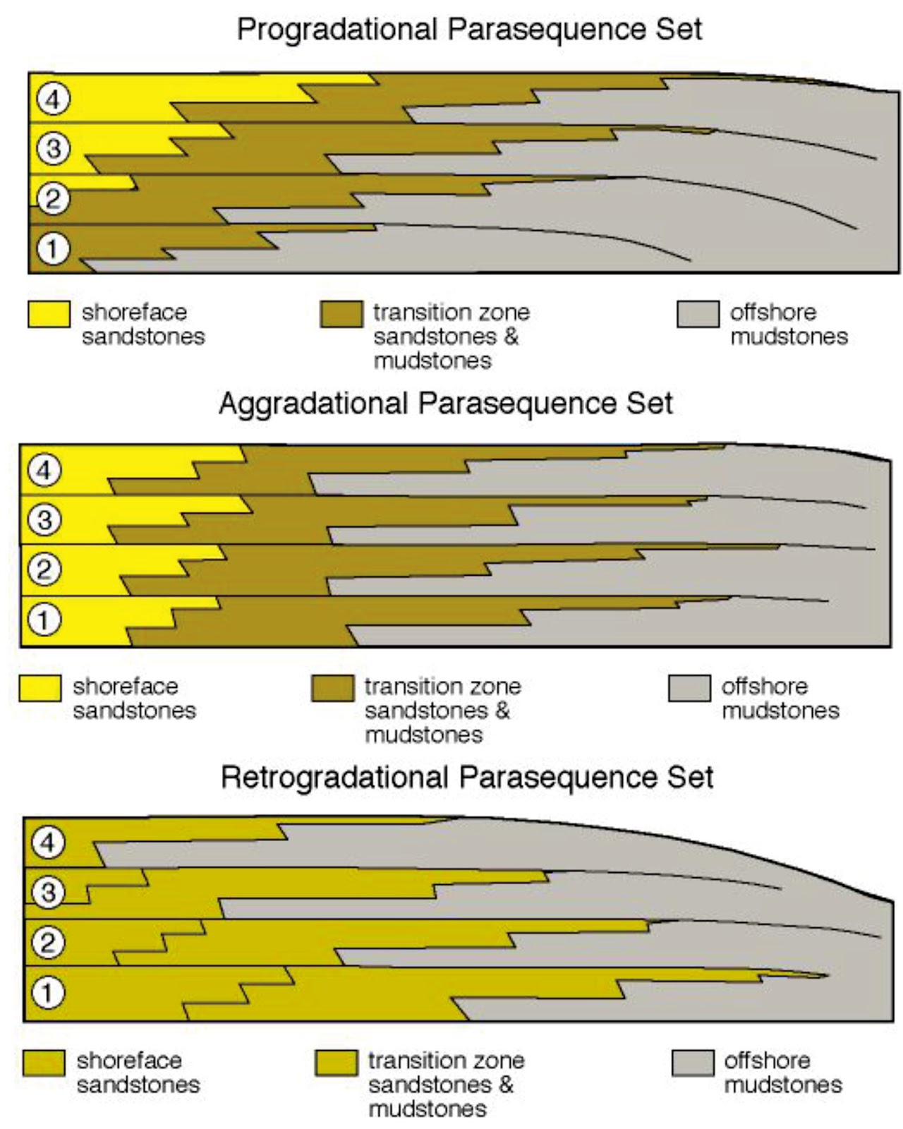 Fluktuasi Naik dan Turun Muka Air Laut | Ilmu Batu Geologi