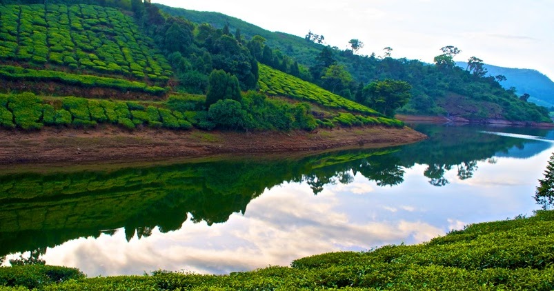 Megamalai: why people call it a hidden paradise | Arun Guides