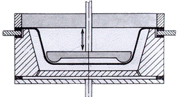 Estrelas sem culpa - Ana Vieira Pereira