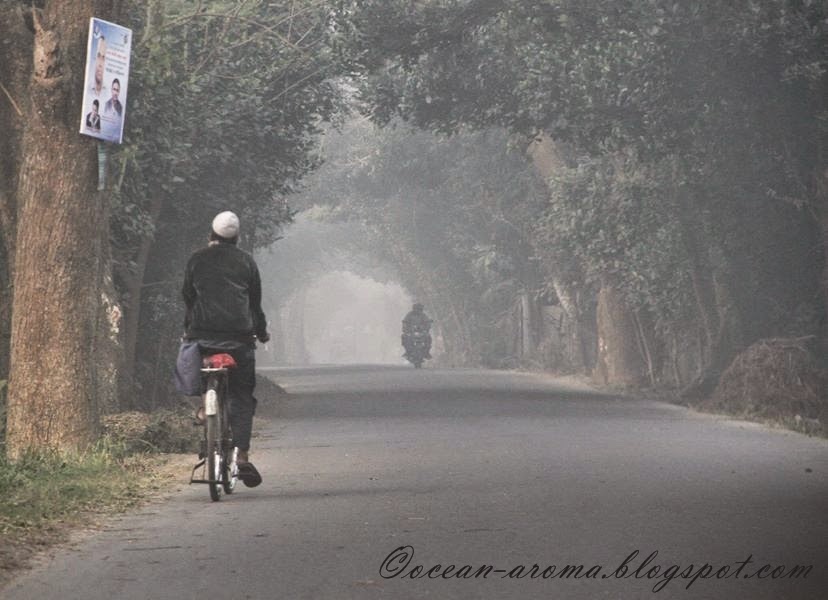 Winter Season In Bangladesh - Nature Photos « Ocean Aroma