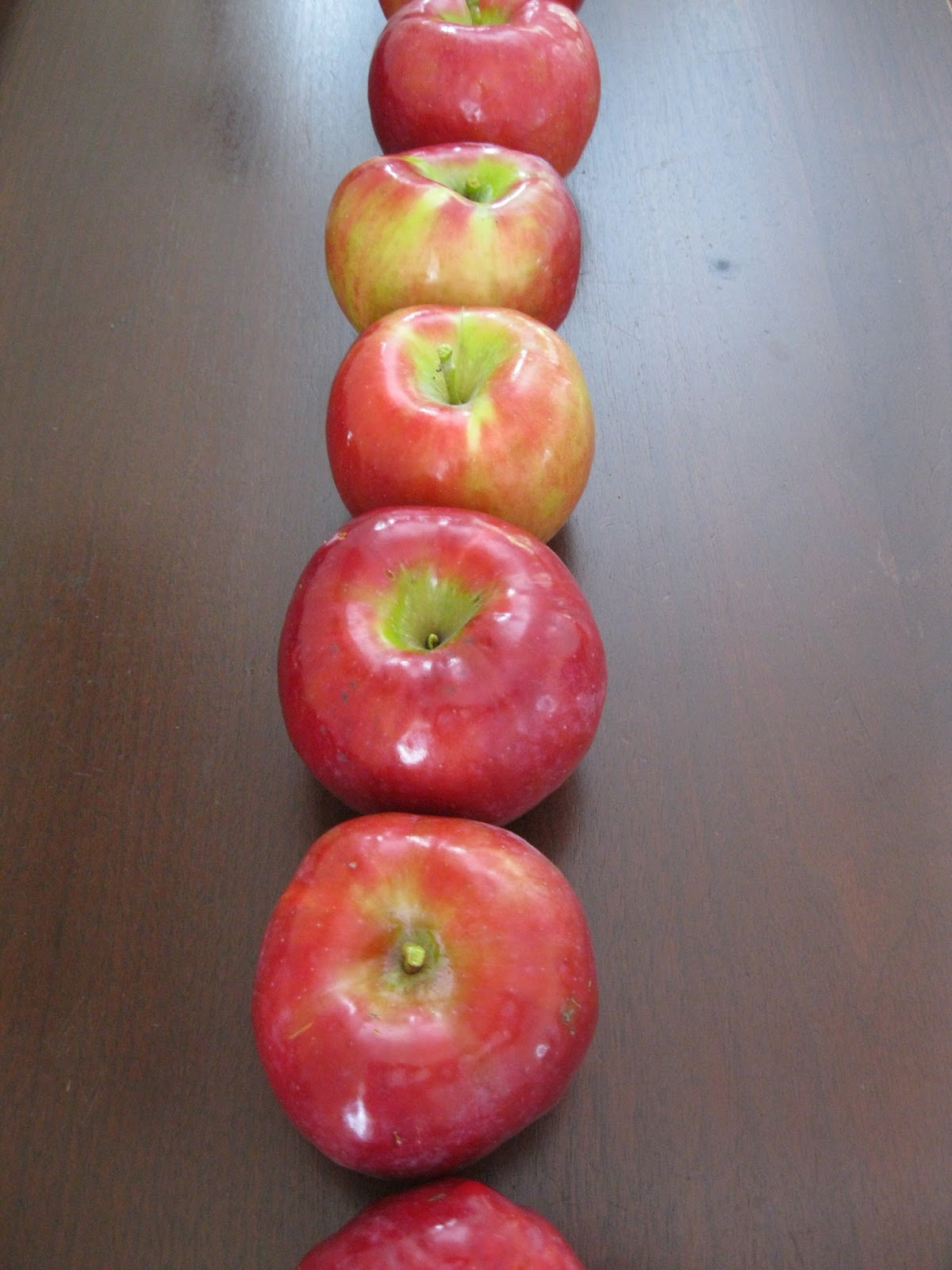 Apron History: Apple Season