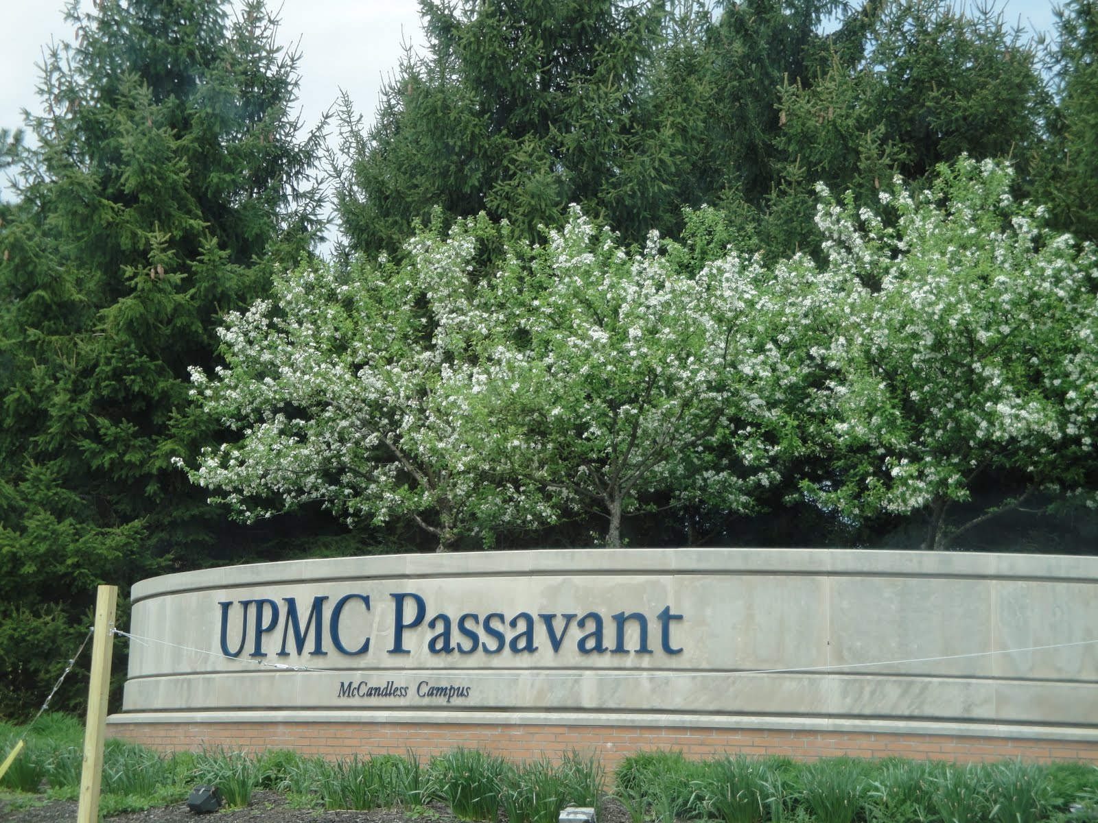 Travels and Wandering: UPMC Passavant McCandless Campus