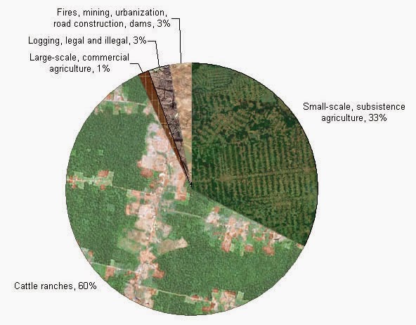 Belize : Deforestation.