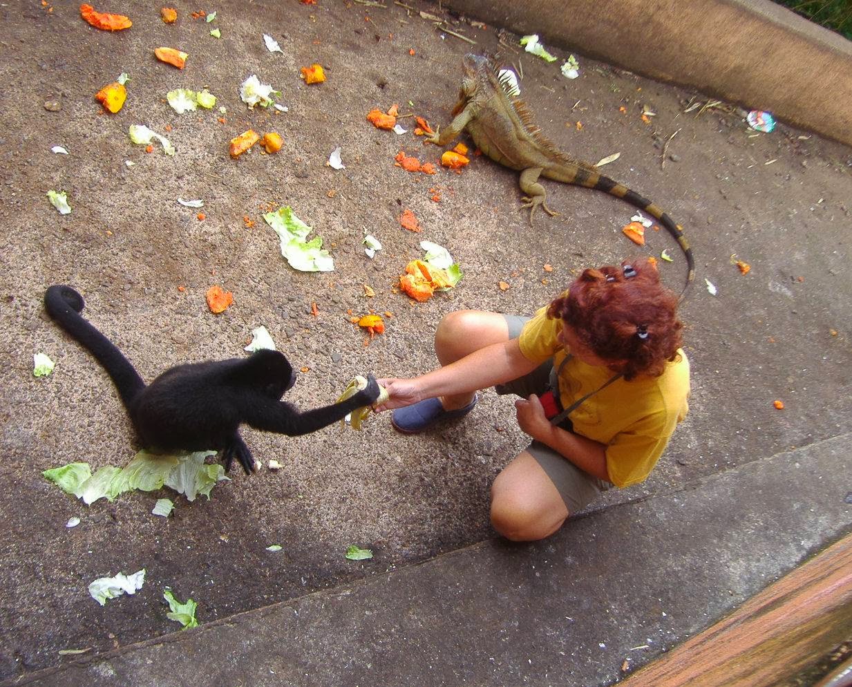 Rocío Díaz Gómez : "Monicaco" la palabra de hoy
