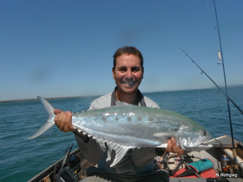 A Kimberley & Pilbara Adventure: McGowans Island - Kalumburu