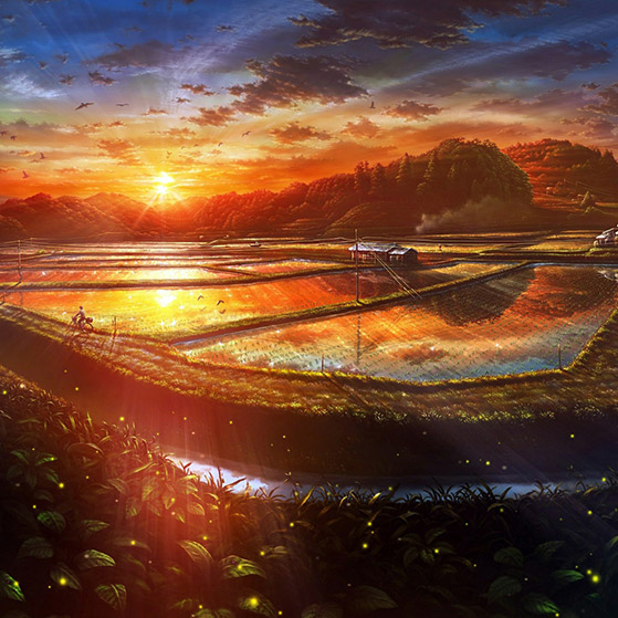 Sunset Paddy Field Wallpaper Engine
