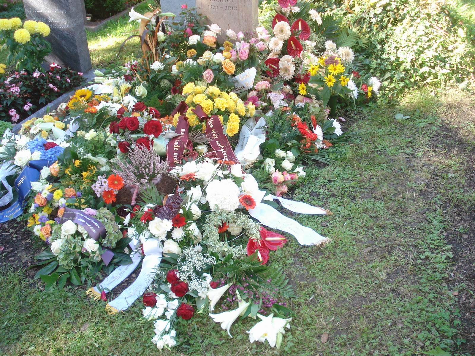 Bilder des Jahres 2013