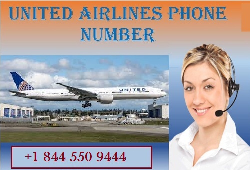 United Baggage Customer Service Number | IUCN Water