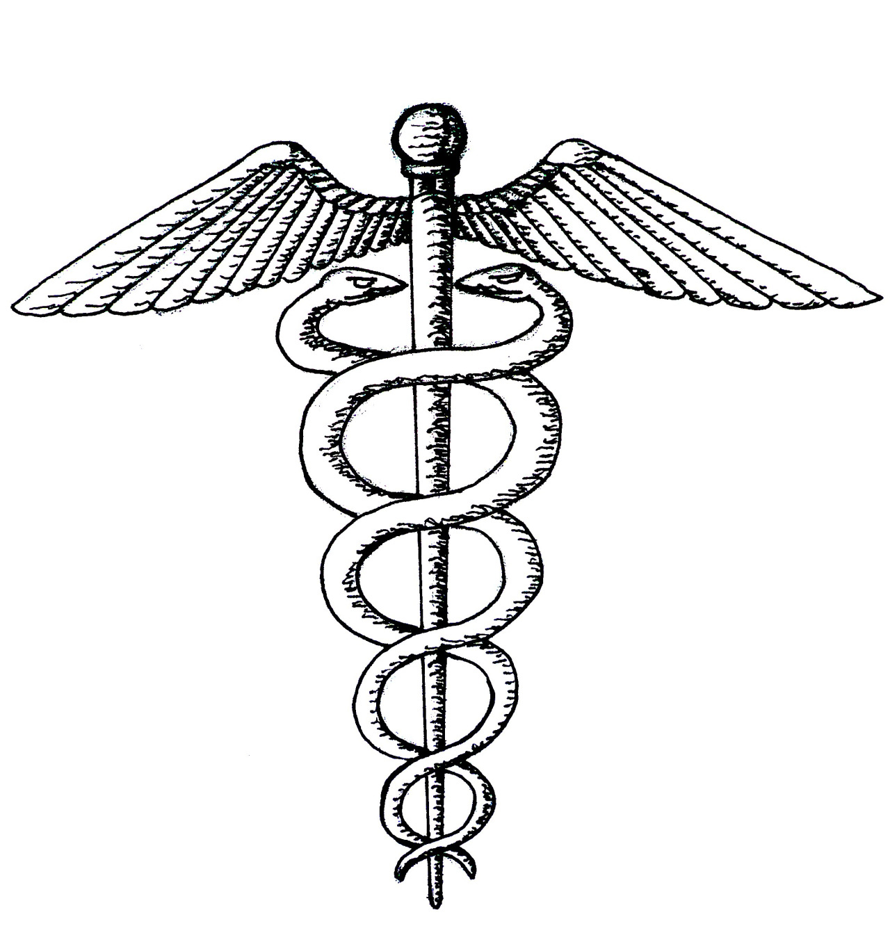 El Caduceo De Esculapio Perugia