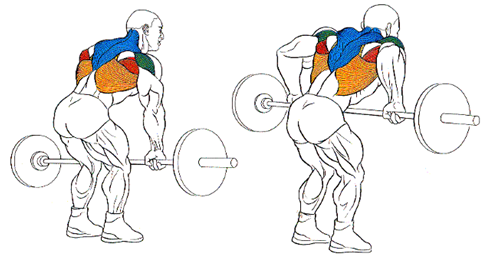 CONSTRUYE UNA ESPALDA ESPECTACULAR (Dorian Yates) ~ RUTINAS DE VOLUMEN