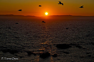 F. Torres Otero Fotografía: Puestas de Sol