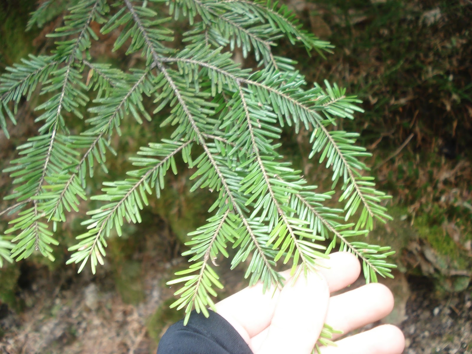 Ksenjin Vrt: Družinski izleti z garancijo 2. del