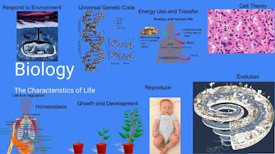 Mark Masulis Biology Blog: Biology Collage