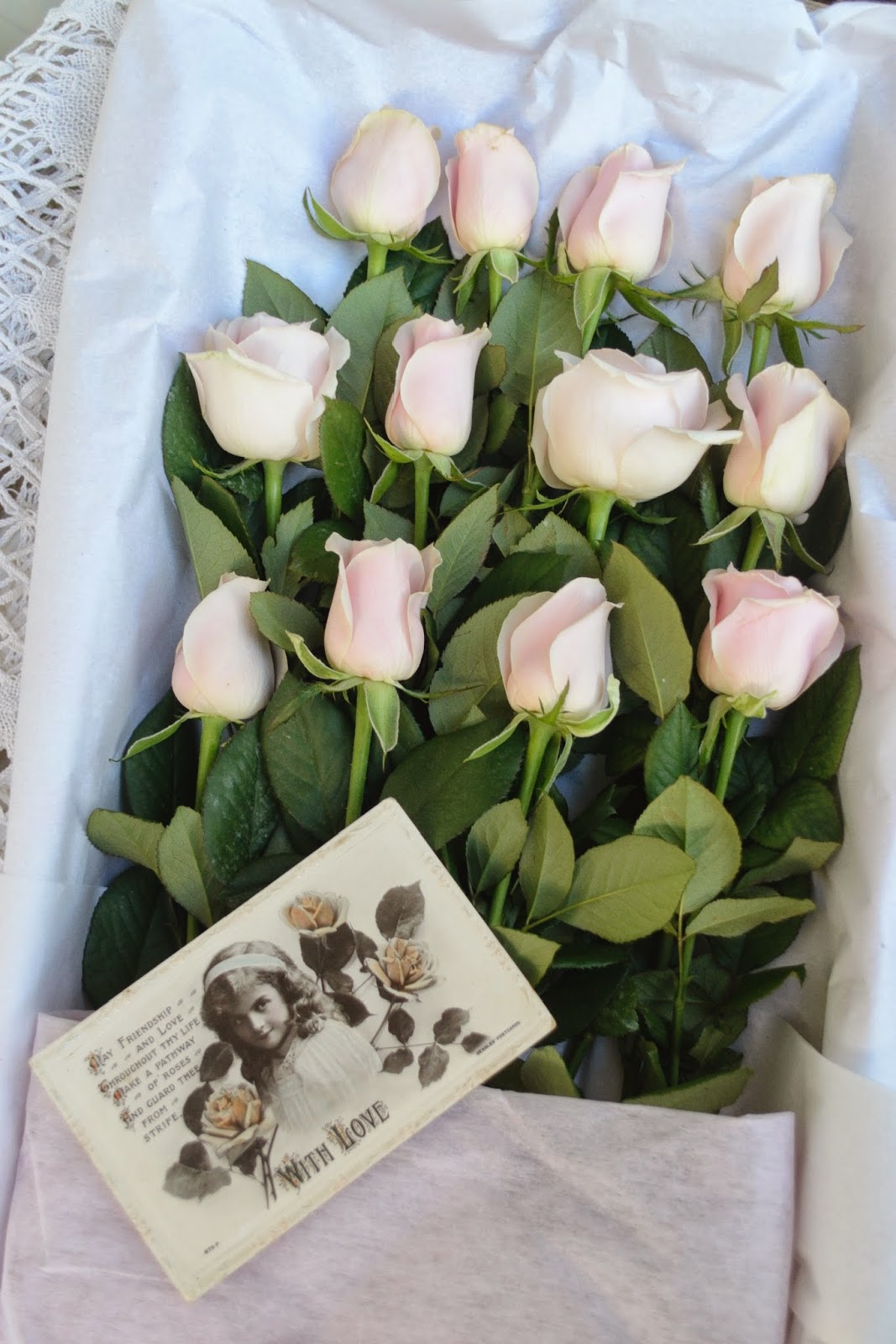 French Blue and Peachy Pink: My Marie Antoinette Flower Range For ...