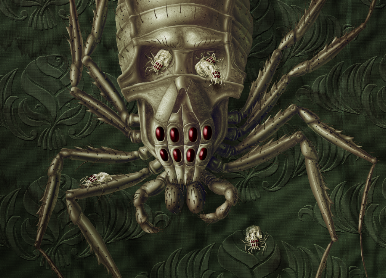 My Vain Doodles: Skull Spider