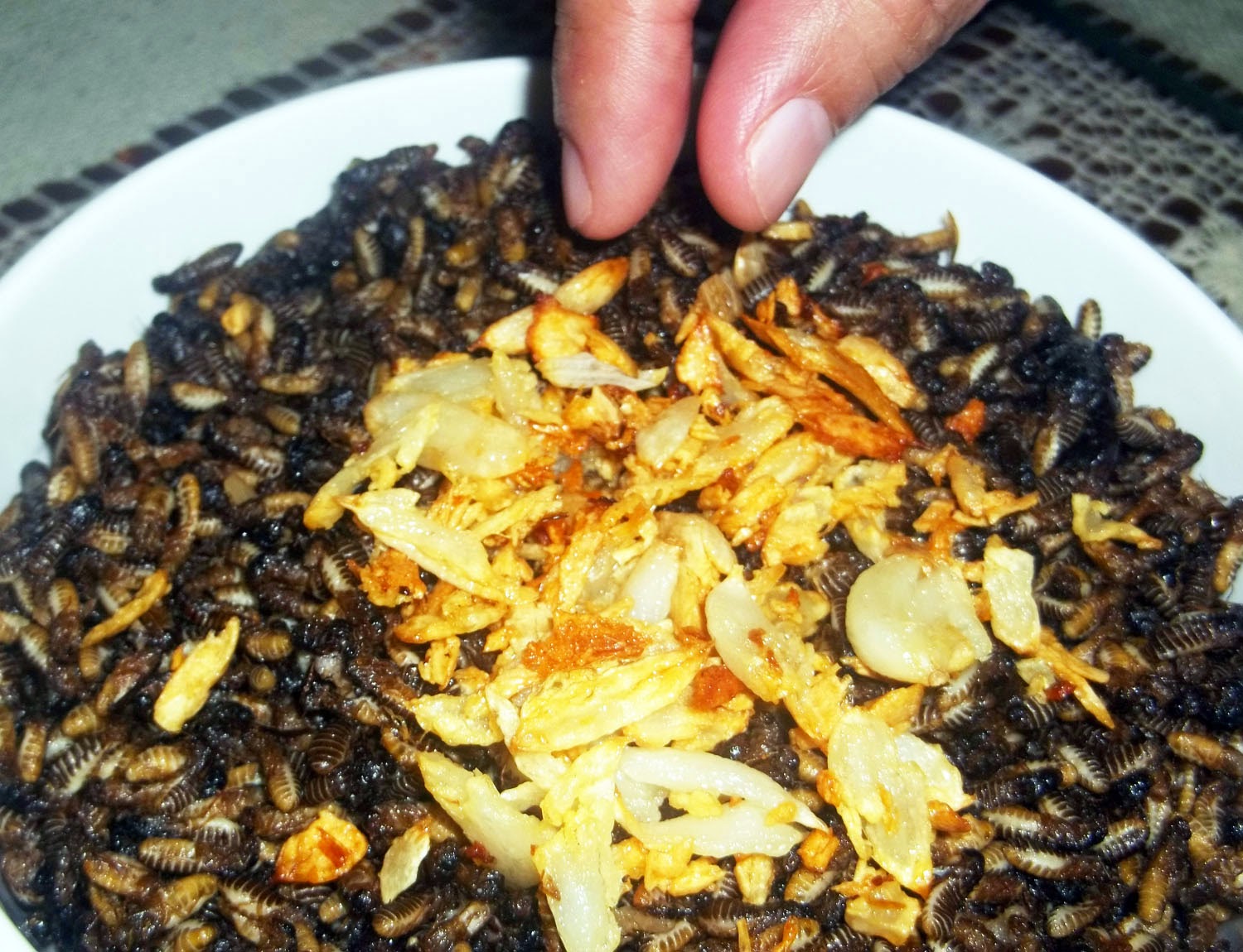 Ginisang Gamu-gamo/Simut-simot or Sauteed Flying Termites ( Exotic and ...