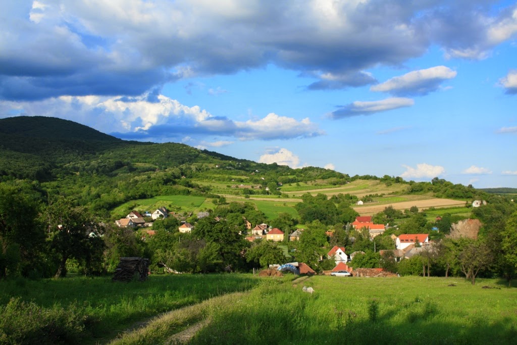 Het Mecsek gebergte in Hongarije