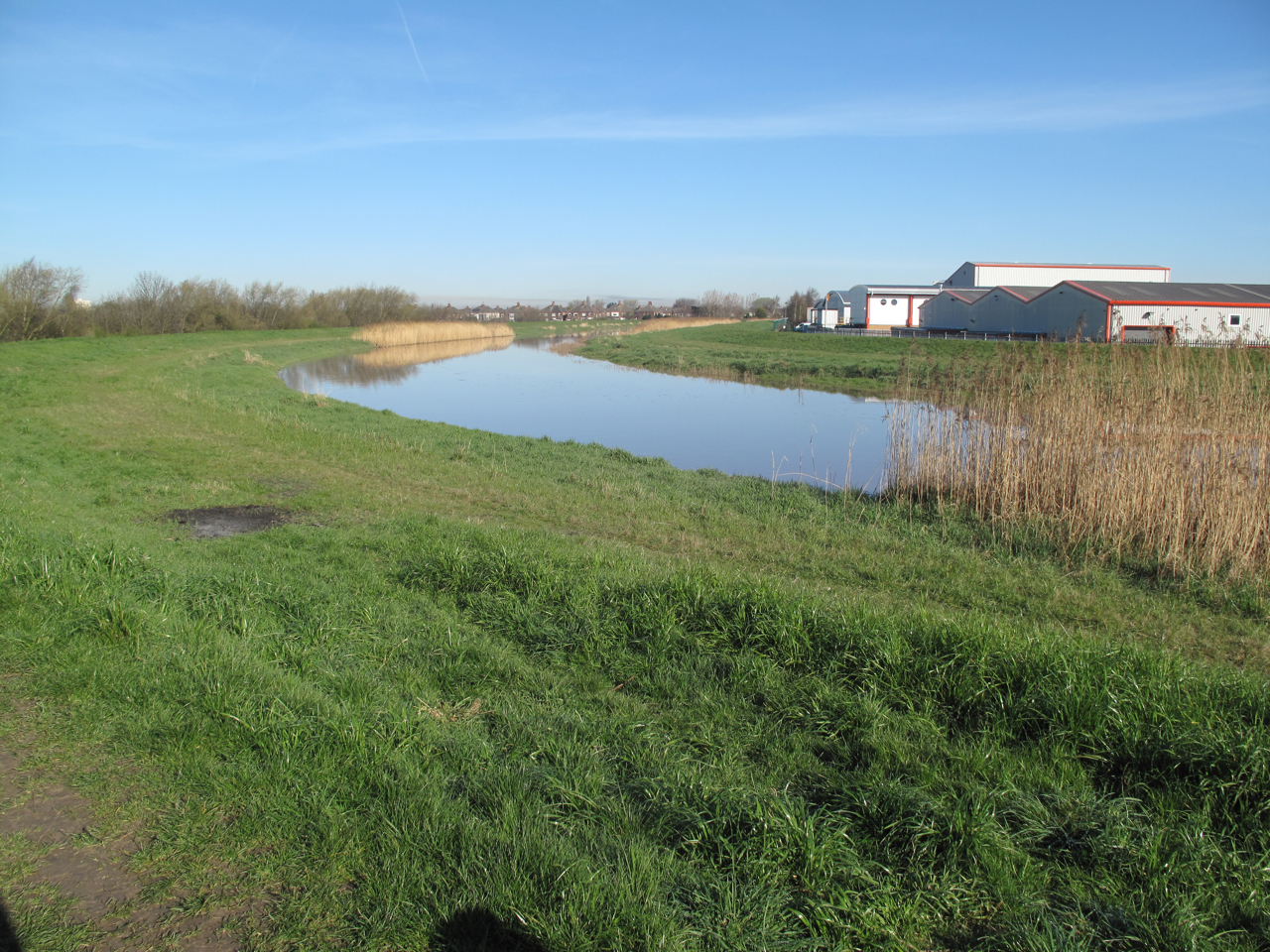 Wild at Hull: A spring day at Oak Road playing fields