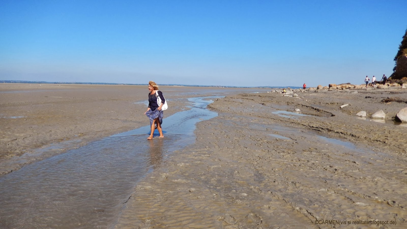 Între vis si realitate 2: Miercurea fara cuvinte (42) - Flux si reflux ...